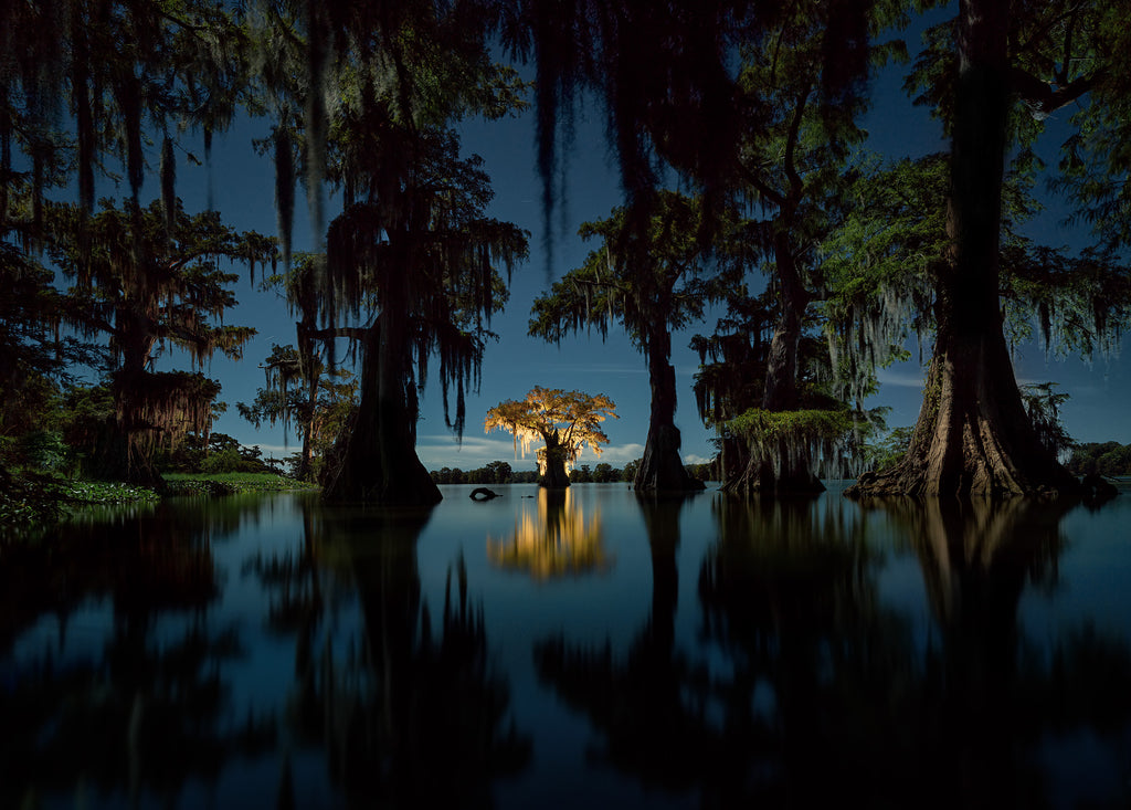 Recent Explorations - Frank Relle