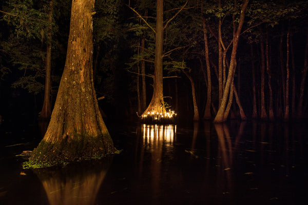 "Until the Water" - Swamp & Bayou - Frank Relle
