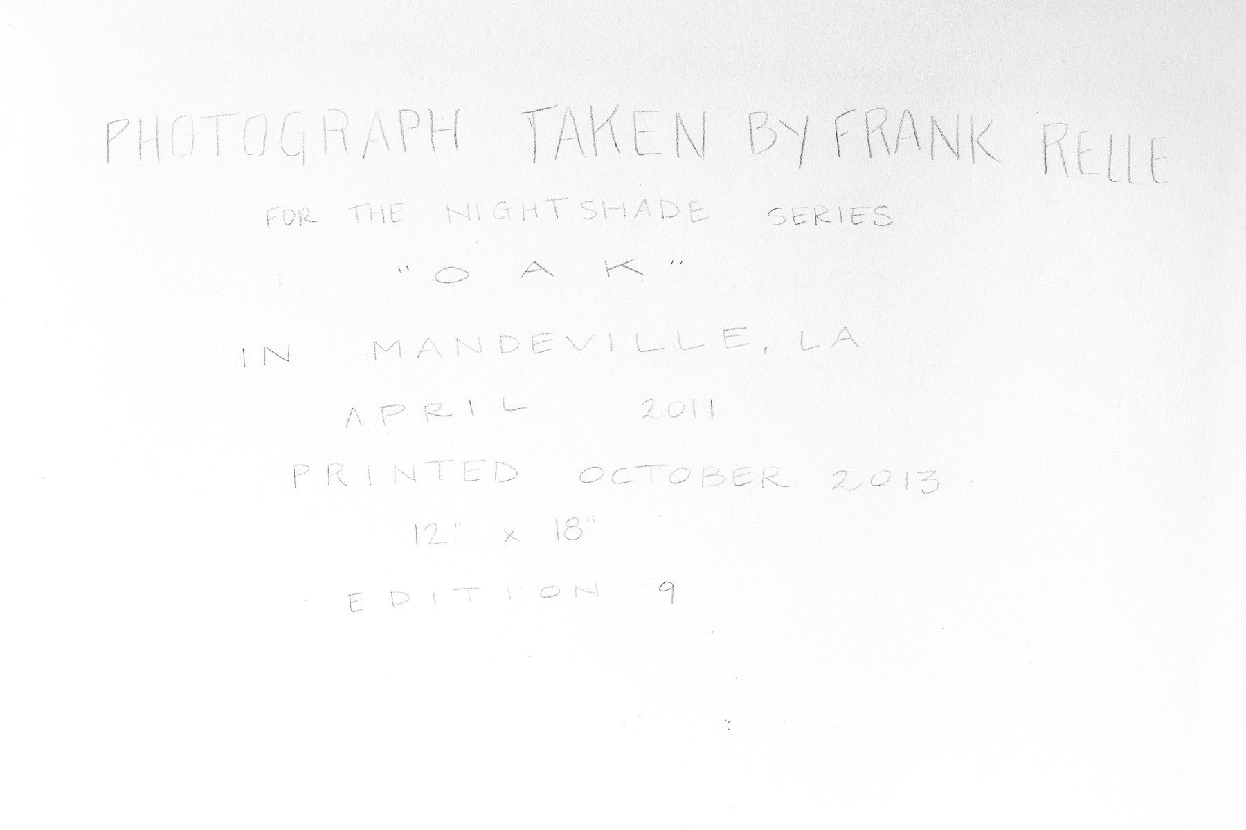 Oak - Frank Relle Photograph of Tree in New Orleans at Night